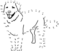 To make an inference, we connect the dots between the information we ...