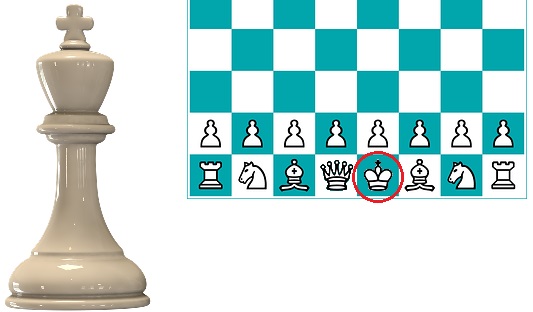 The king can also move in any direction, but only one space at a time.