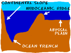 Ocean Zones