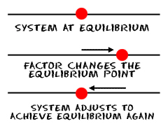 The Position of Equilibrium