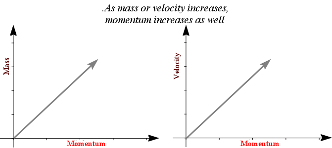 The Momentum Equation