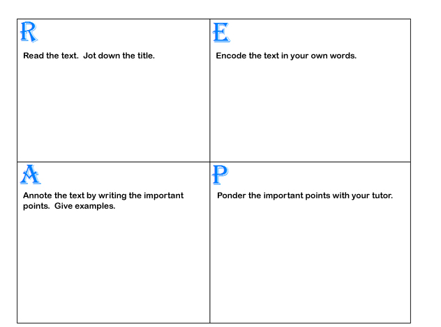 Now let's use the REAP strategy to help us summarize!