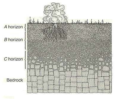 1. Why is a given volume of good soil less dense than the same volume ...